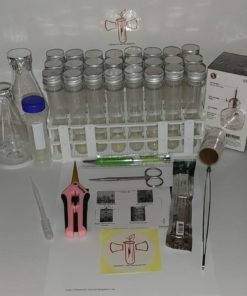 Plant Tissue Culture Kit Canada - Plant Tissue Culture Canada